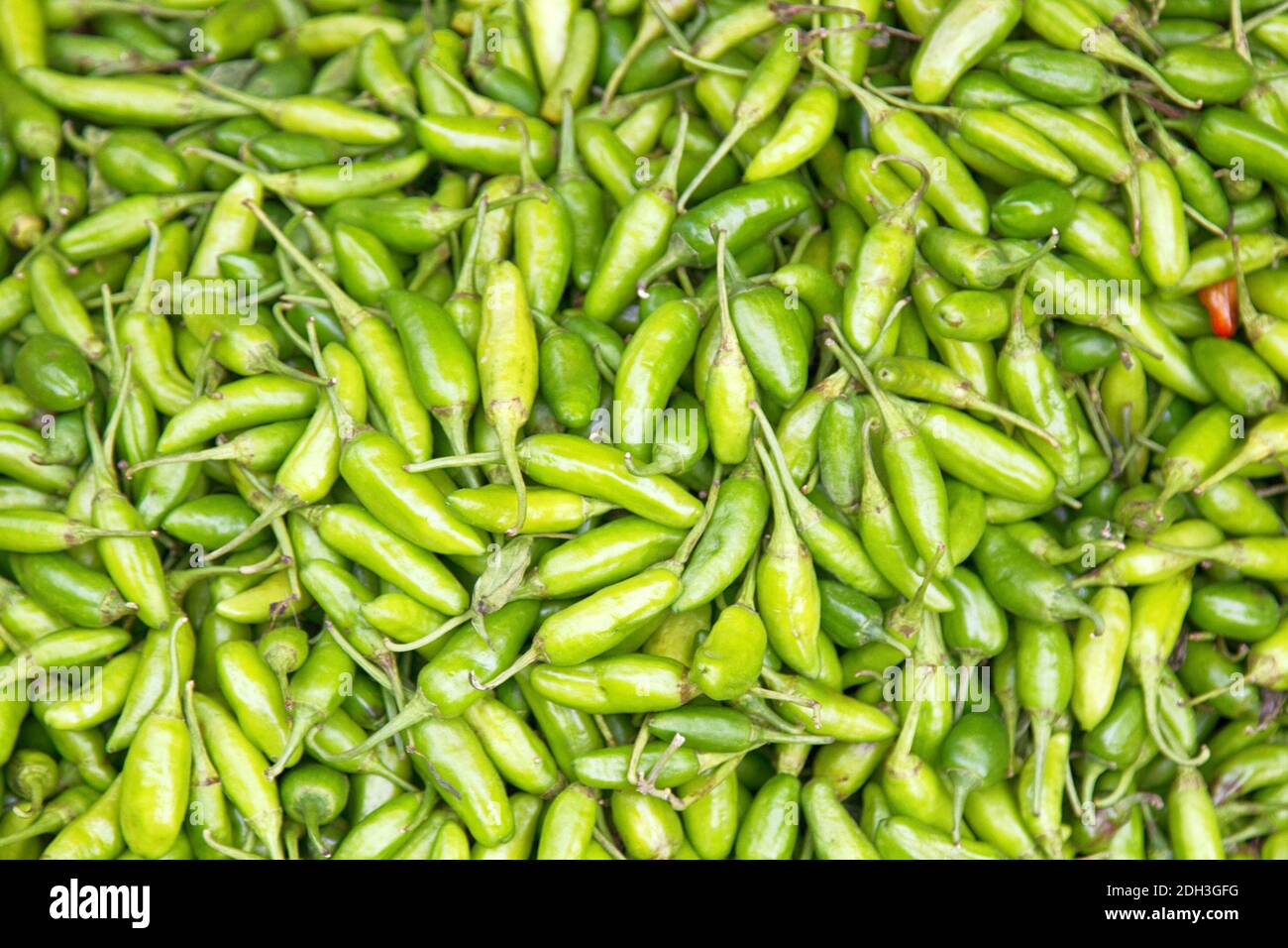 Guy pepper hi-res stock photography and images - Alamy