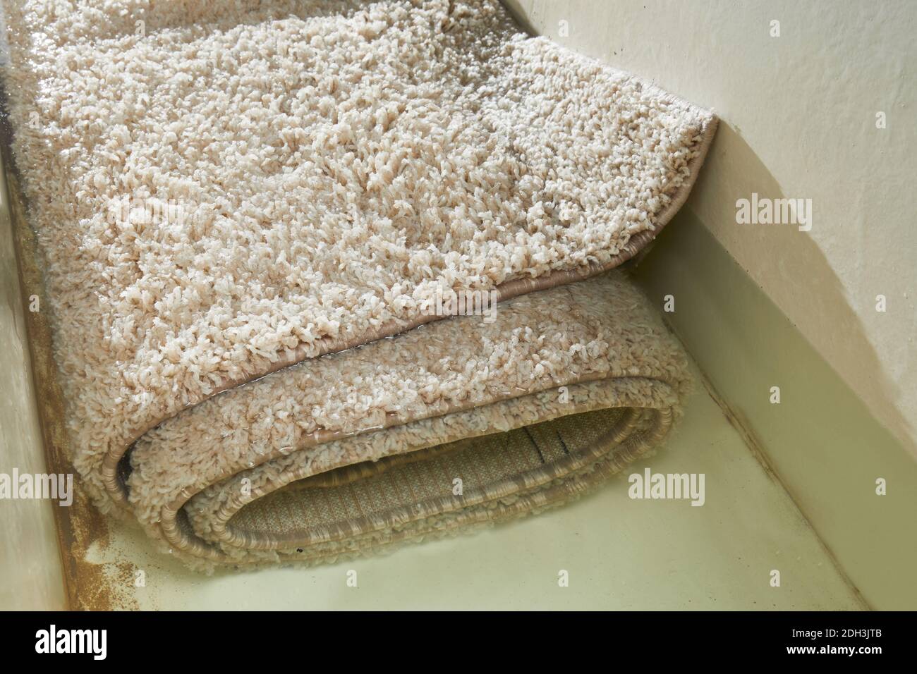 Dirty carpet soaking in special chemical solution in carpet cleaning ...