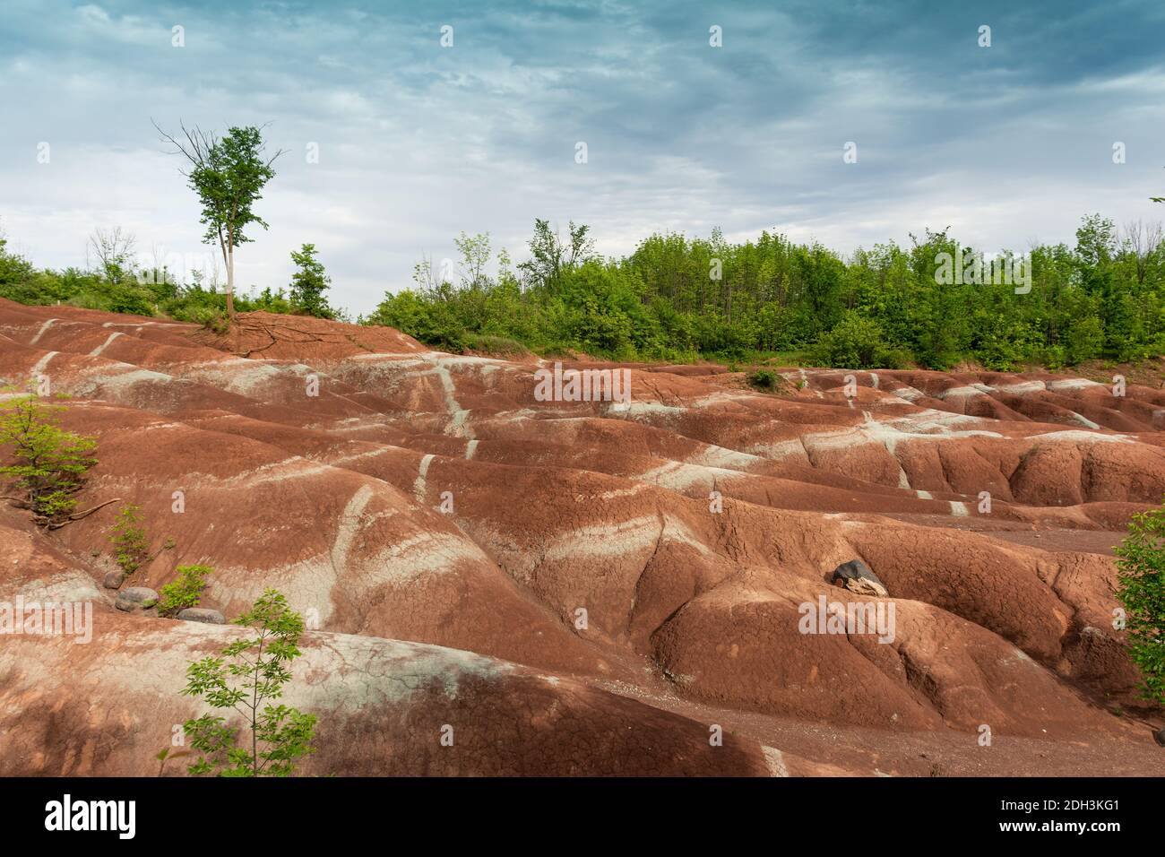 Cheltenham badlands hi-res stock photography and images - Alamy