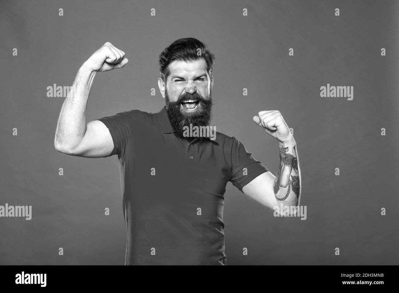 Strength and drive. Bearded man show strength. Strong hipster flex arms ...