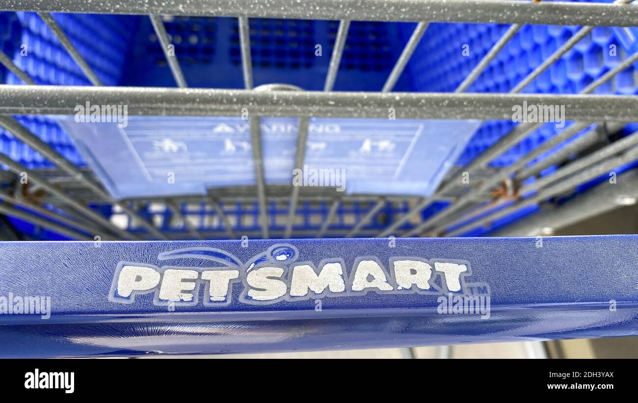 Orlando, FL USA - January 29, 2020: A view of a shopping cart from a ...