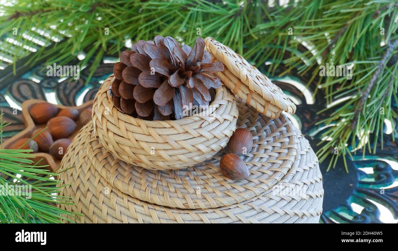 Big pine cone in natural color baskets green pine tree branches on ...