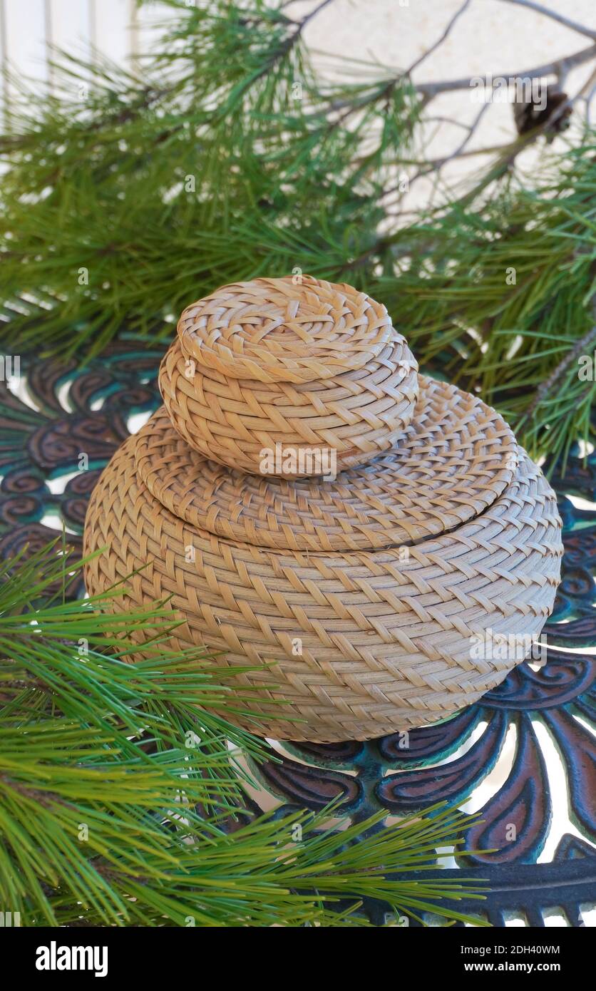 Two natural color baskets green pine tree branches on background ...