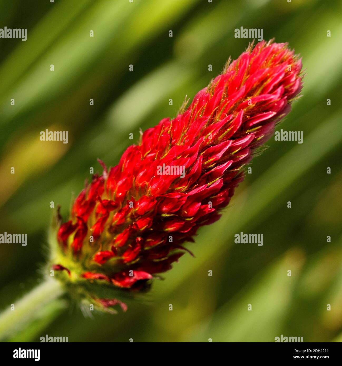 Spring farming hi-res stock photography and images - Alamy