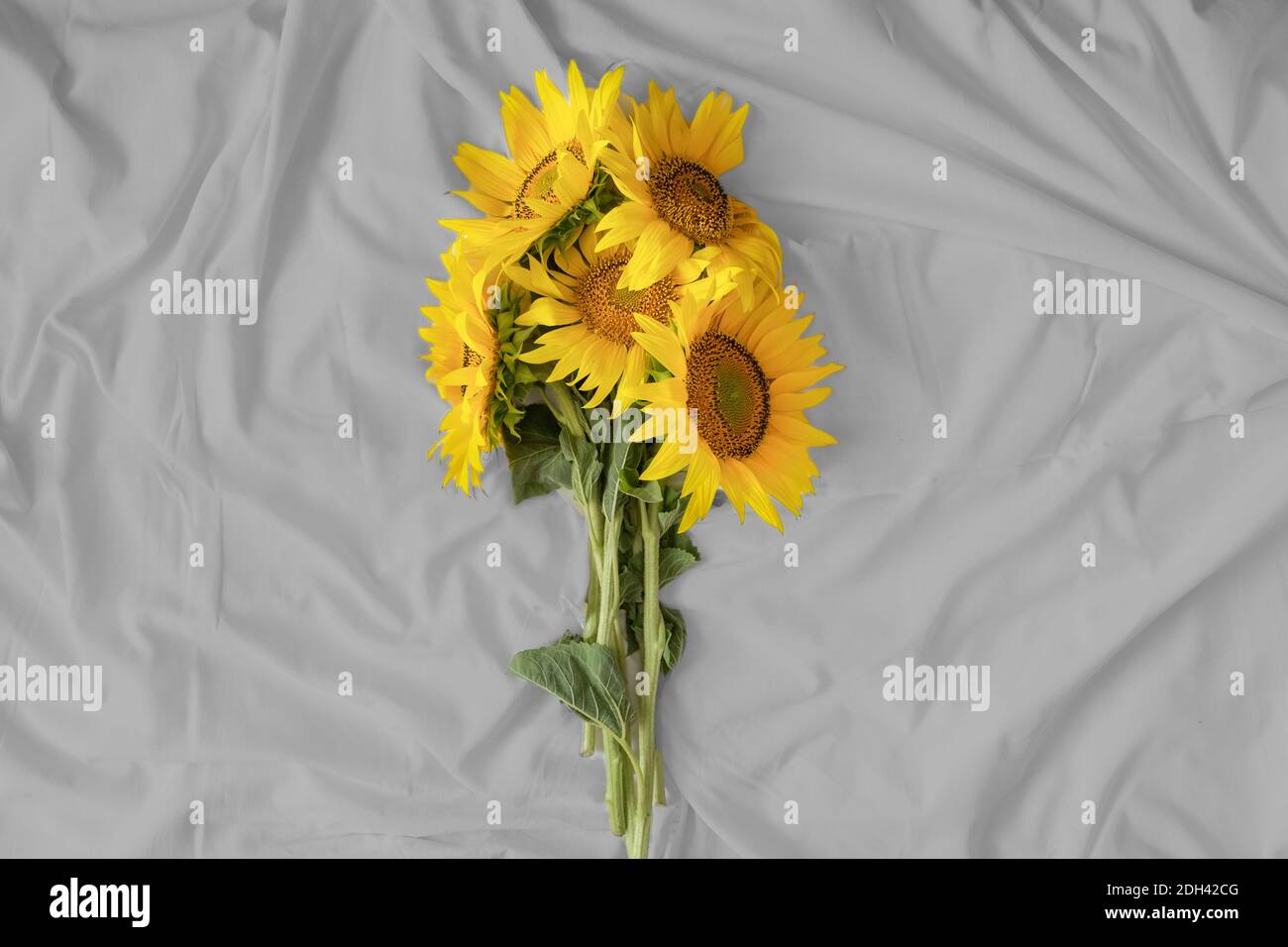 Color of the year 2021. Illuminating yellow and Ultimate Gray. Yellow ...