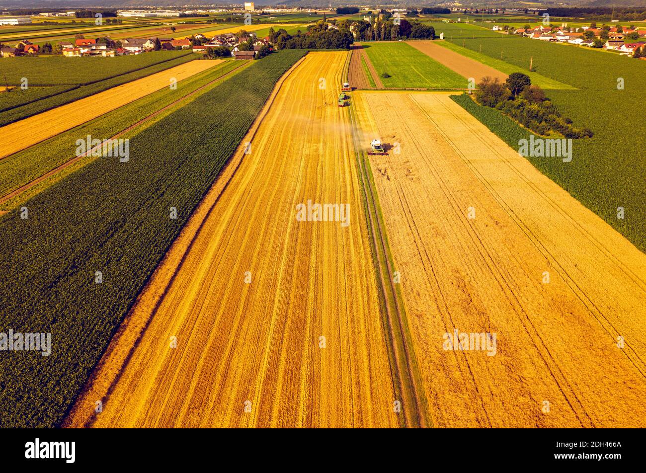 Wheat Field Aerial