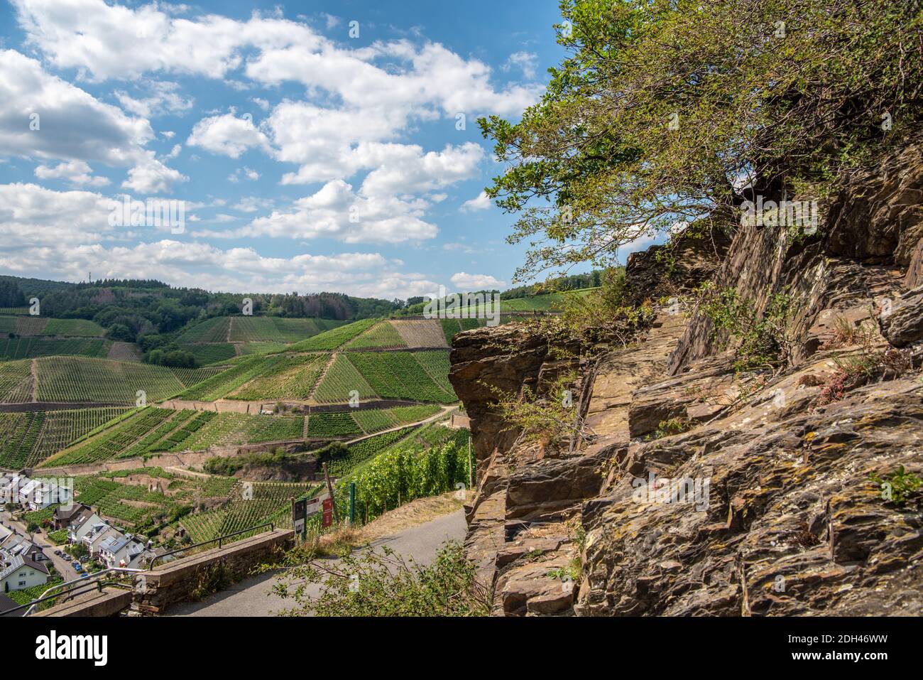 Vines terraces hi-res stock photography and images - Alamy