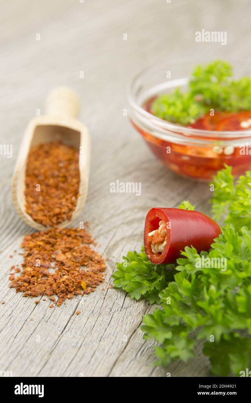 Chili pepper, Capsicum annuum Stock Photo - Alamy
