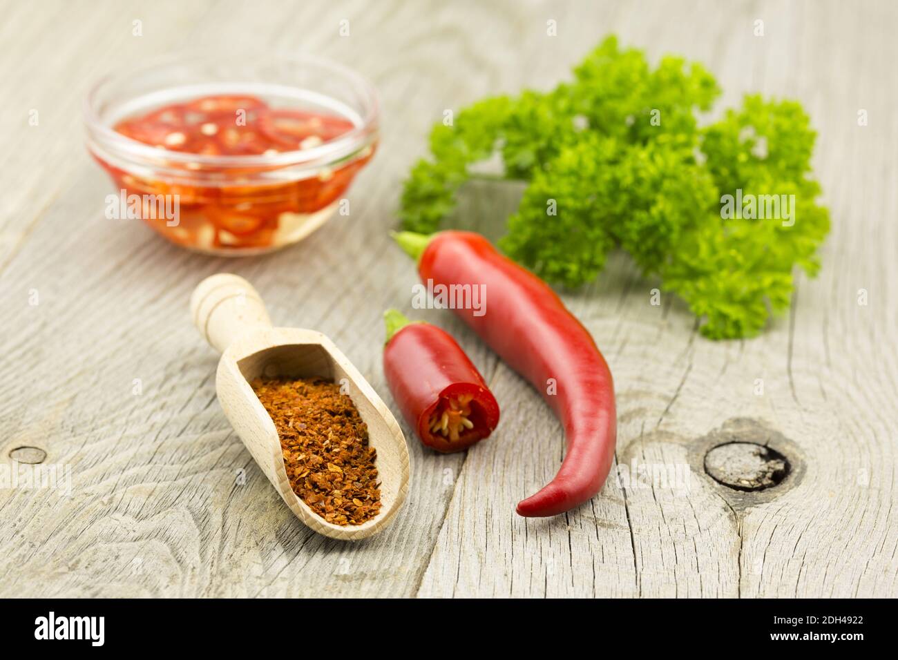 Chili pepper, Capsicum annuum Stock Photo - Alamy