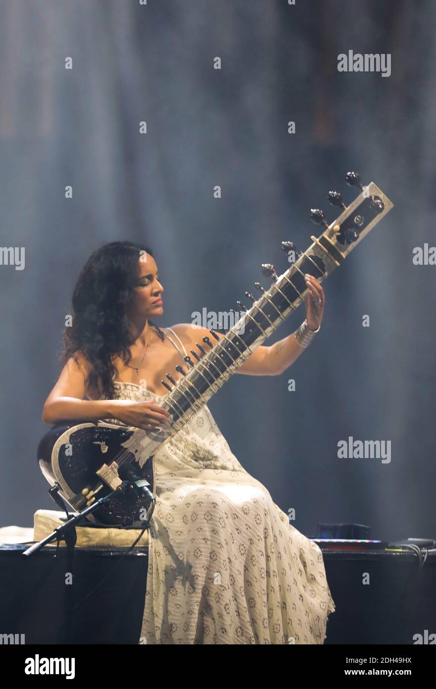 Indian sitar player hi-res stock photography and images - Alamy
