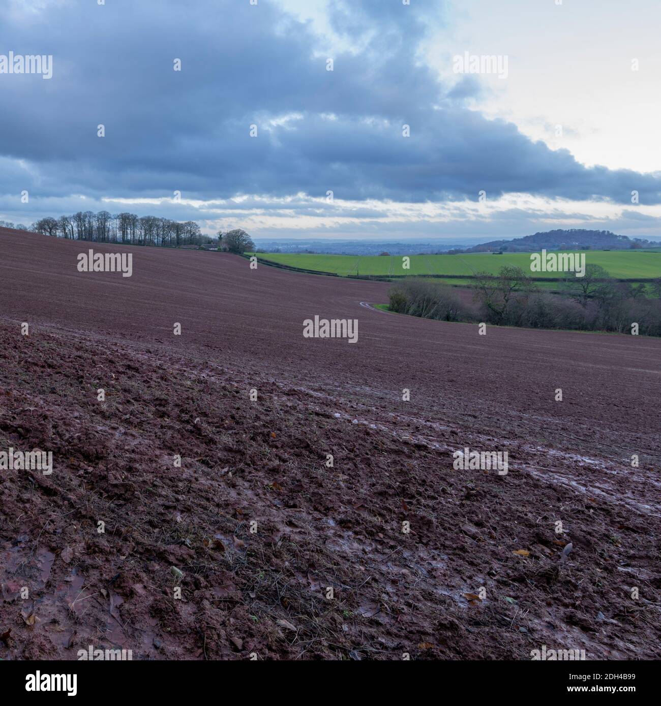 Wet fields in the winter hi-res stock photography and images - Alamy
