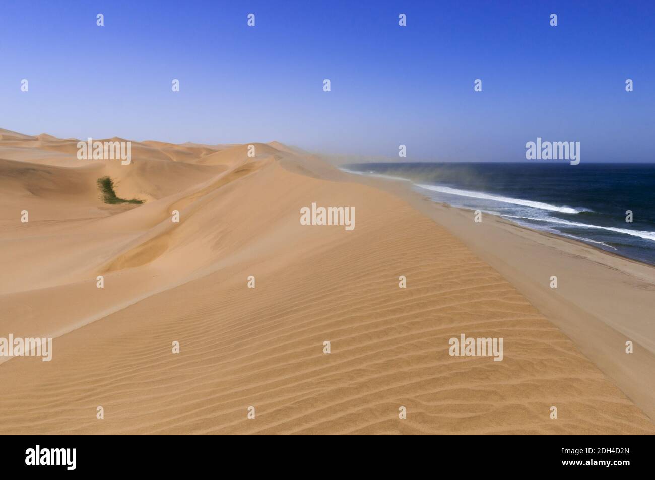 Sandstorm on the Skeleton Coast, dunes to the Atlantic Ocean, Namib ...