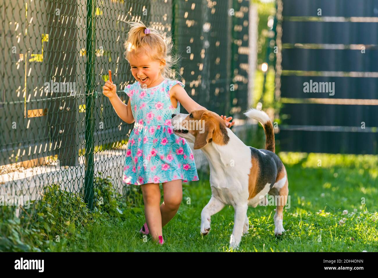 Child chasing dog hi-res stock photography and images - Alamy