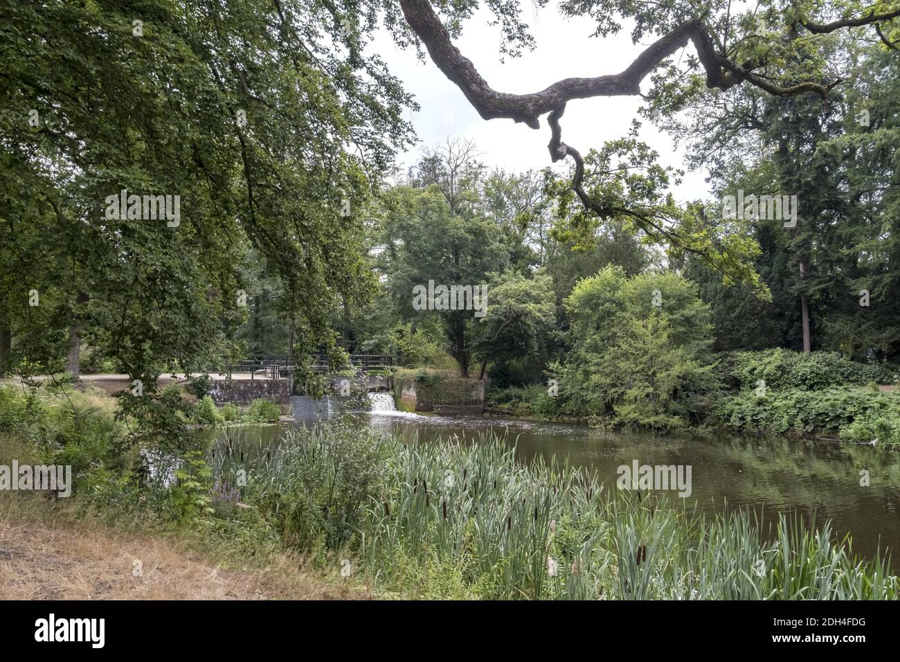 River Dinkel near Denekamp, Netherlands Stock Photo - Alamy