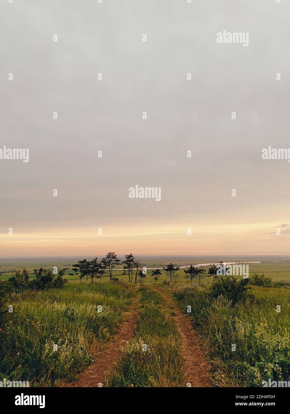 Path in field during sunset Stock Photo - Alamy