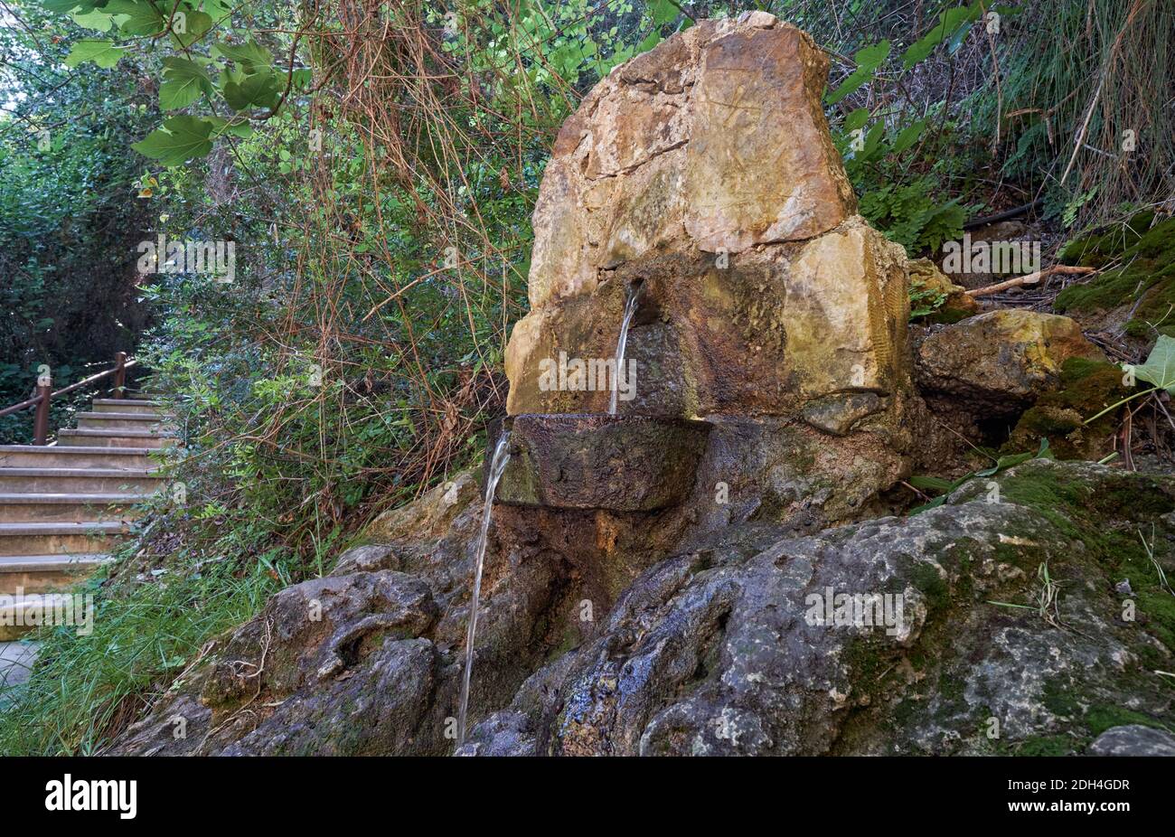 Aphrodite nature trail to Baths of Aphrodite in the Botanical garden on ...
