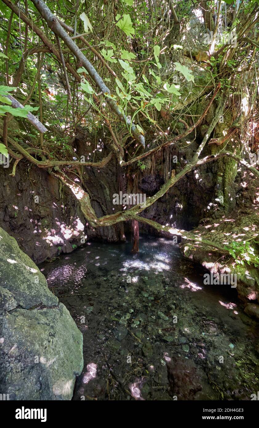 Baths of Aphrodite - the pool in the natural cave in Botanical garden ...