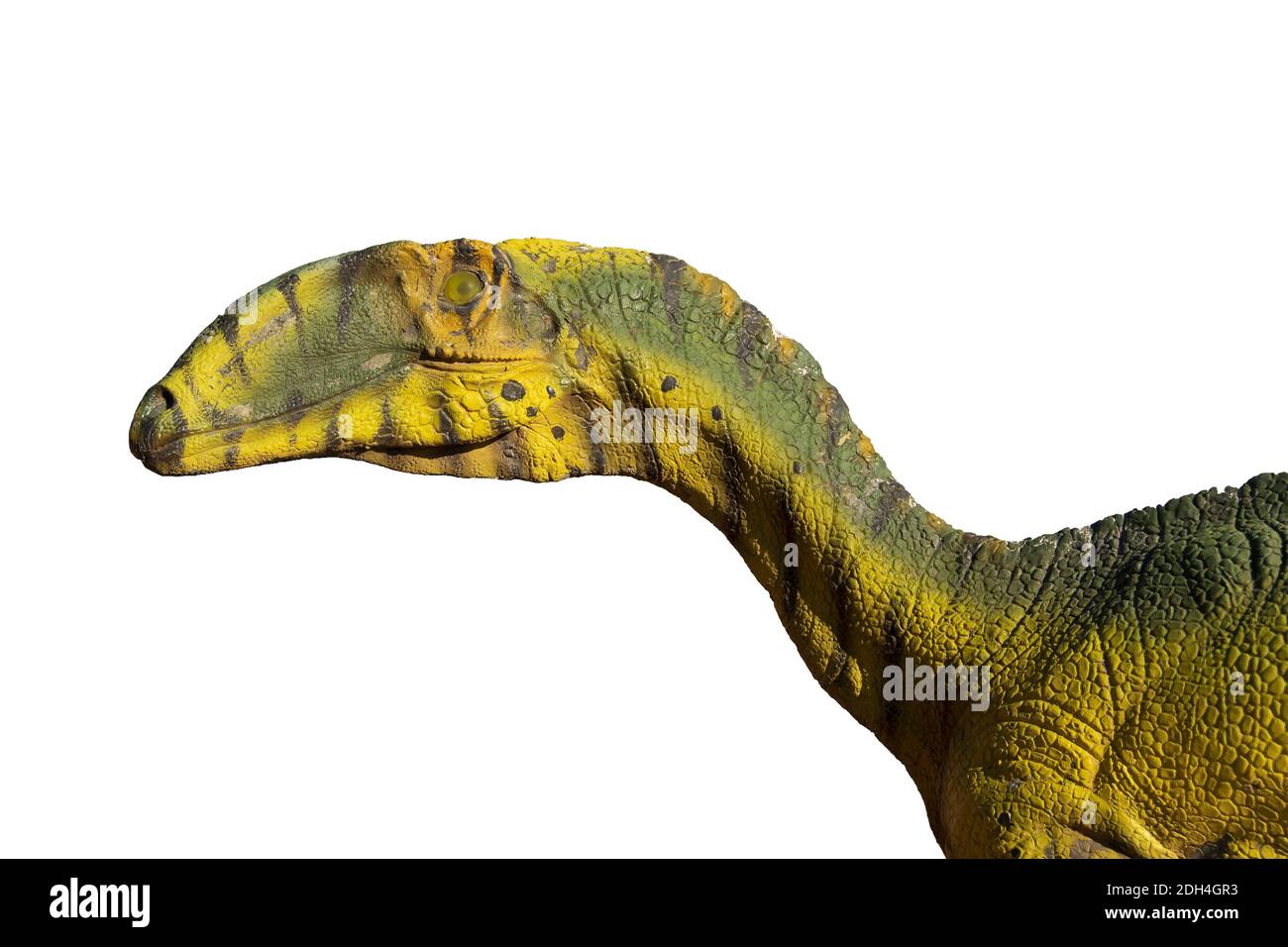 Side View Dinosaur Isolated Photo Stock Photo - Alamy