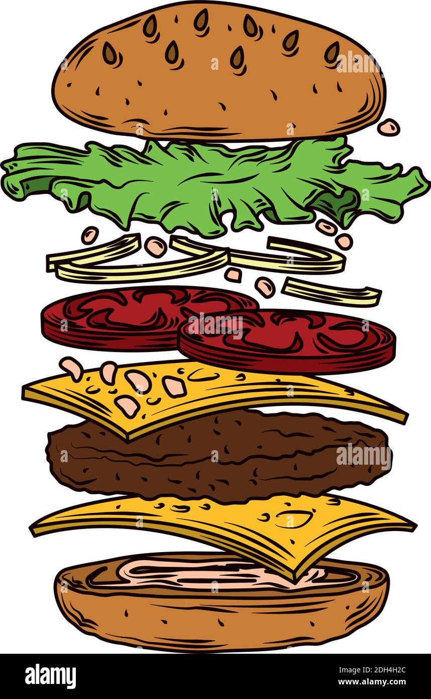 burger layers with refreshing ingredients fast food vector illustration ...