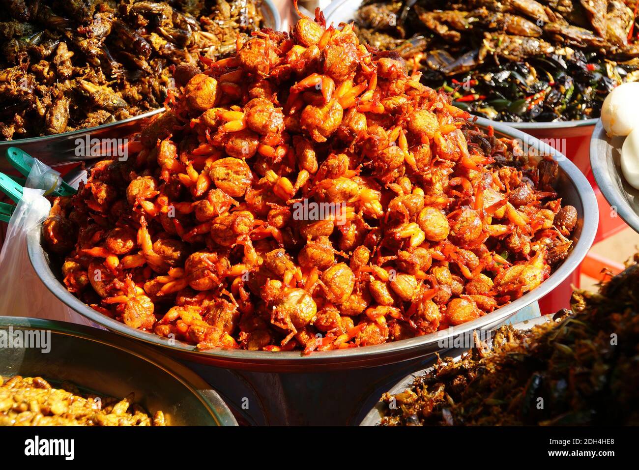 Deep fried insects, a traditional snack, Skoun, Cambodia Stock Photo ...