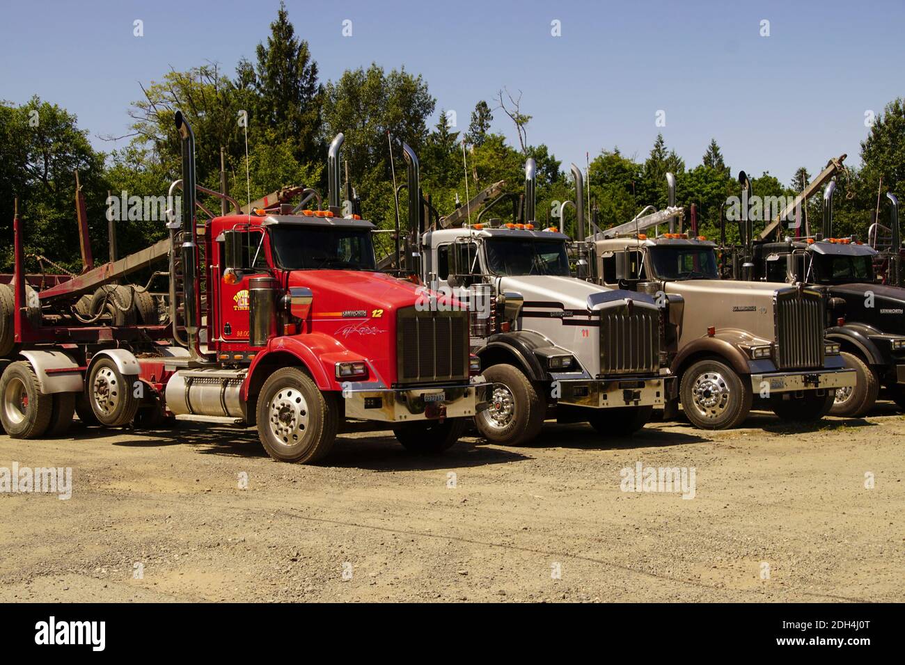 SEQUIM, WASHINGTON - JUL 16, 2017 - Line of logging trucks parked on a ...