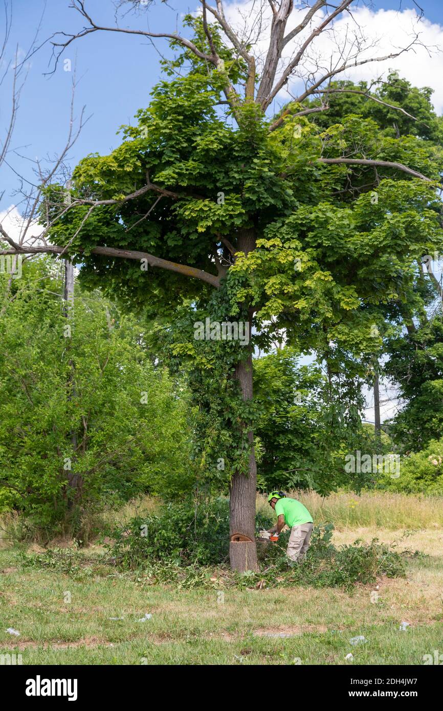 Flint, Michigan - Workers from the Michigan Grounds Crew participate in ...