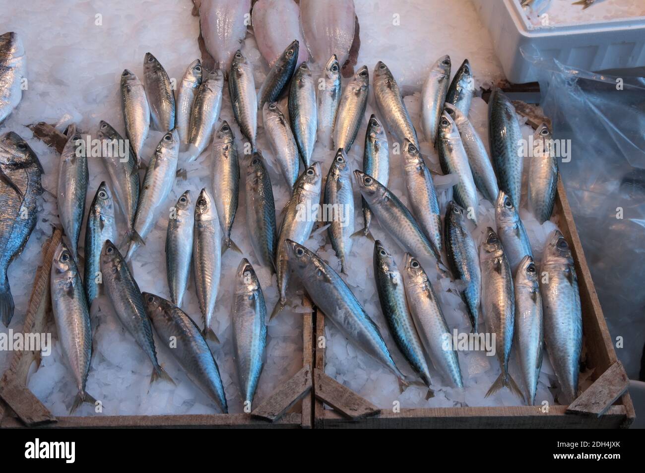 Modiano hi-res stock photography and images - Alamy