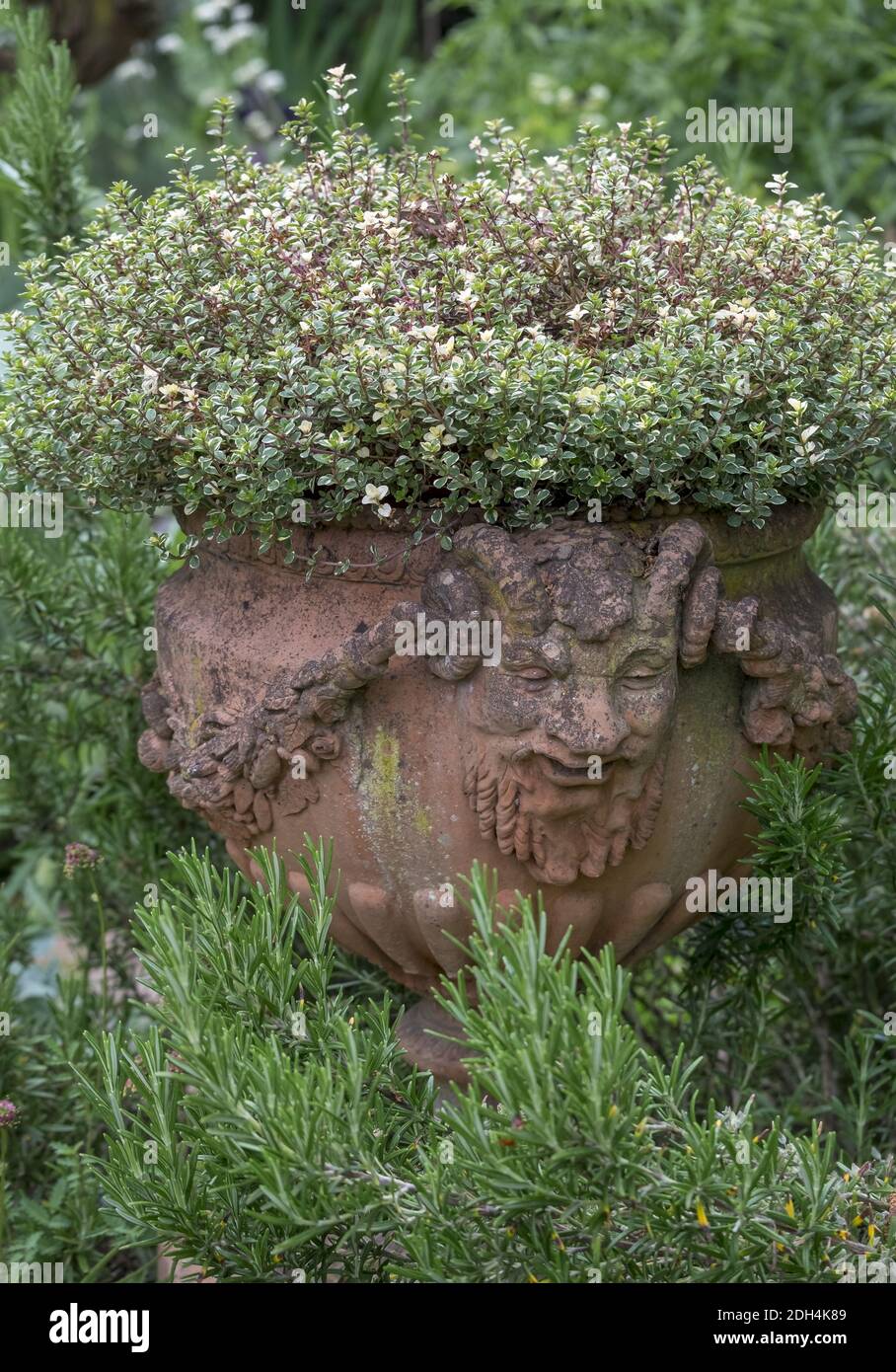 Terrakotta hi-res stock photography and images - Alamy