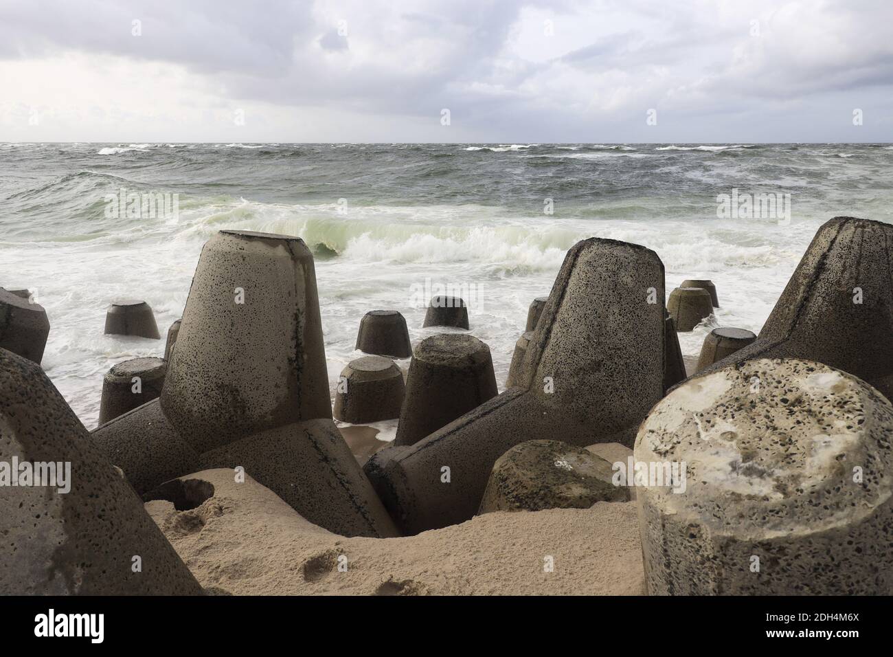 Tetrapod tetrapods hi-res stock photography and images - Alamy