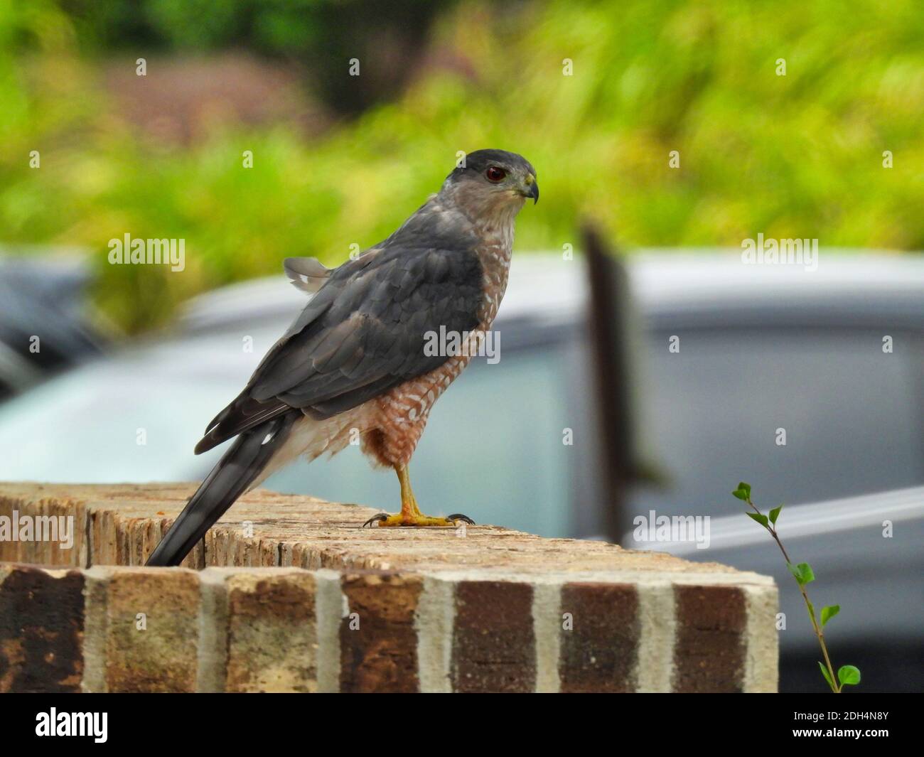 Brick retaining wall hi-res stock photography and images - Alamy