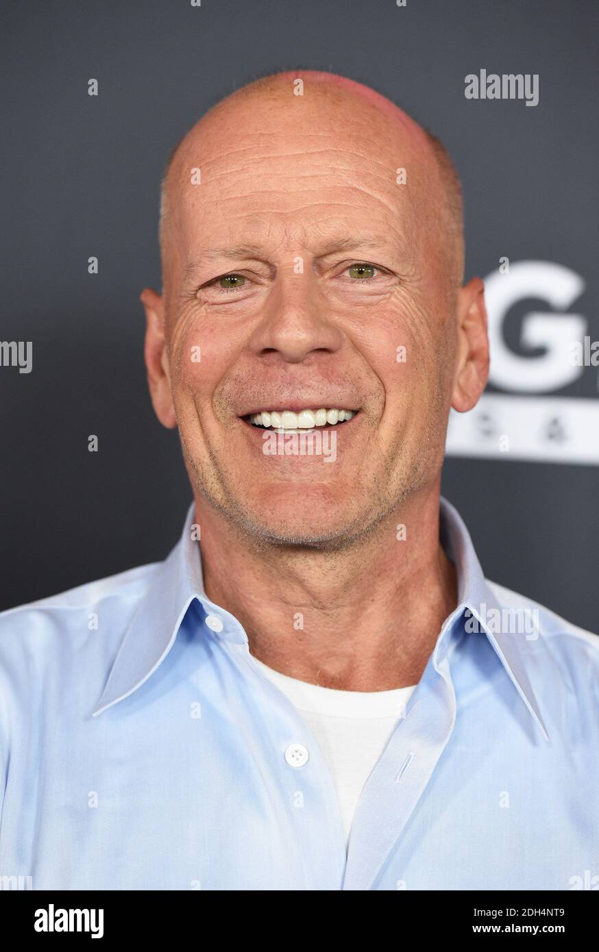 Bruce Willis attends the Floyd Mayweather Jr vs Conor McGregor fight at ...