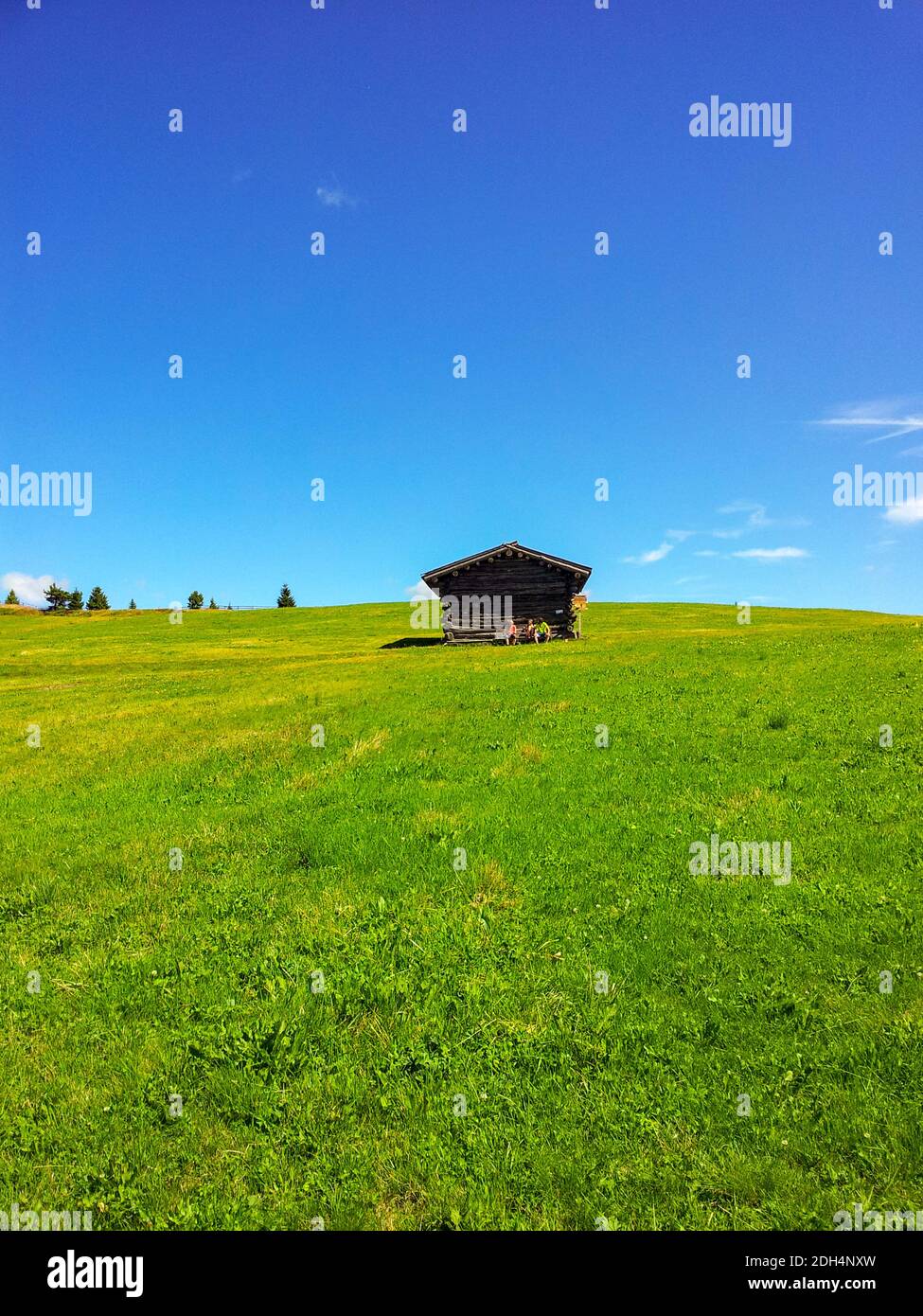 A vertical shot of a fancy wooden house in a field Luson, South Tyrol ...