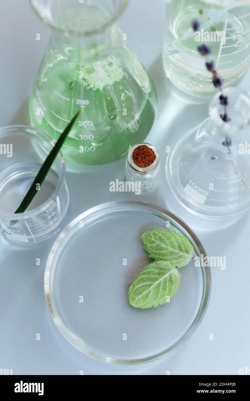 Sample bottles in science laboratory hi-res stock photography and ...