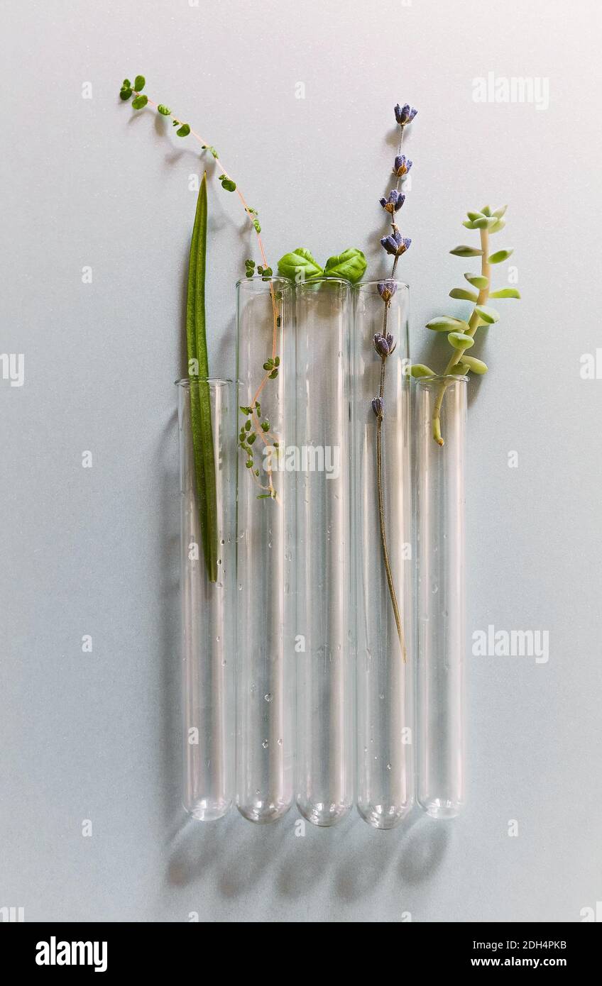 Set of various glassware on table in lab Stock Photo - Alamy