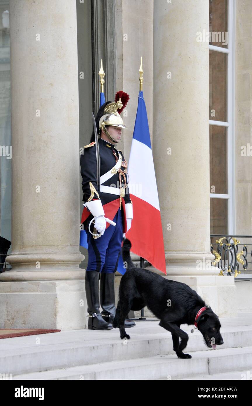 Brigitte macron nemo hi-res stock photography and images - Alamy