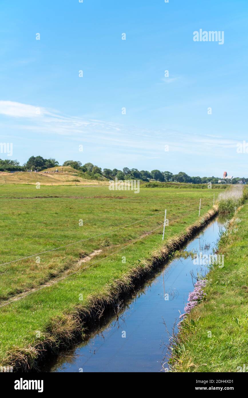 Bunte wiesen hi-res stock photography and images - Alamy