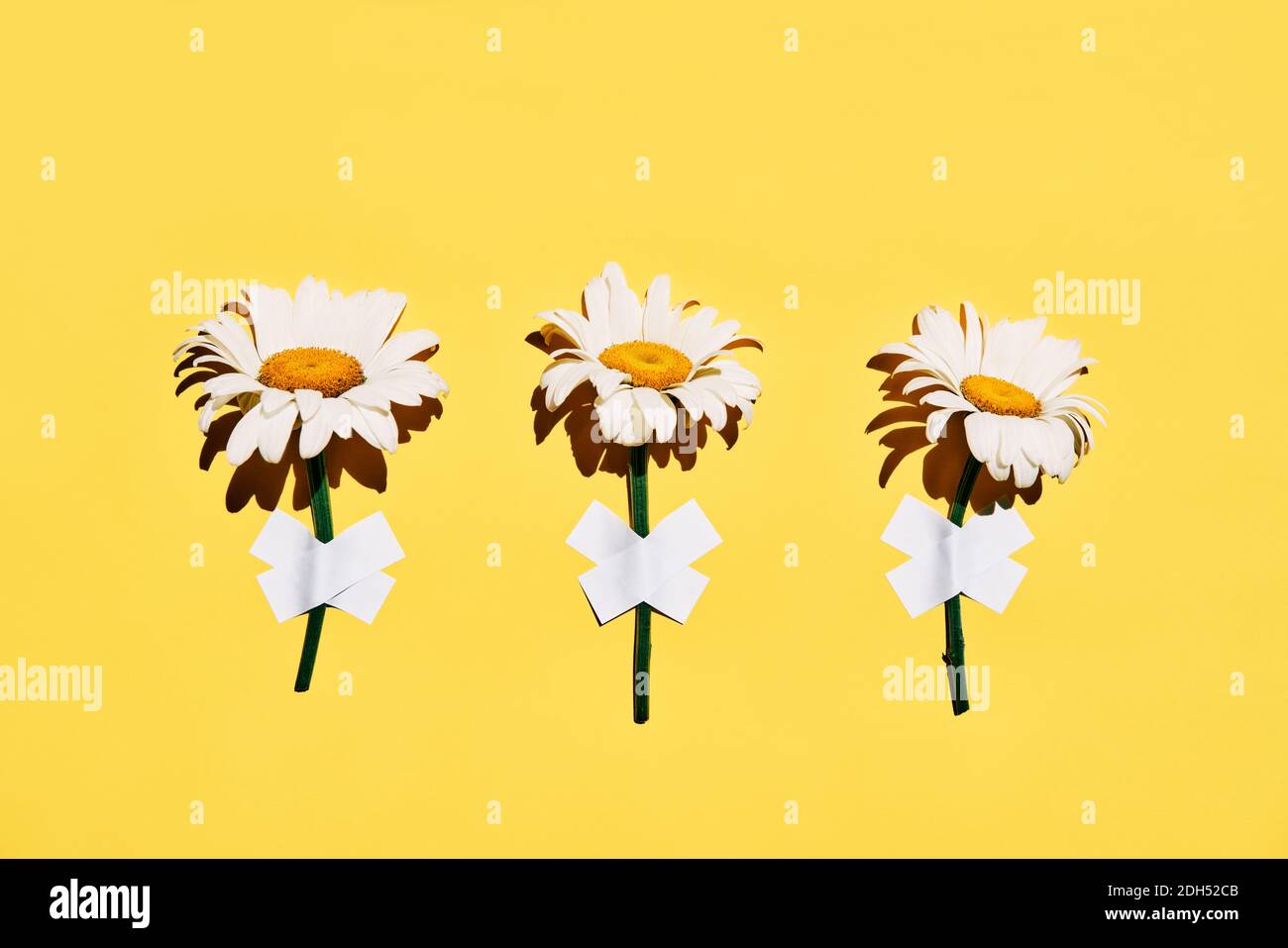 Taped flowers hi-res stock photography and images - Alamy