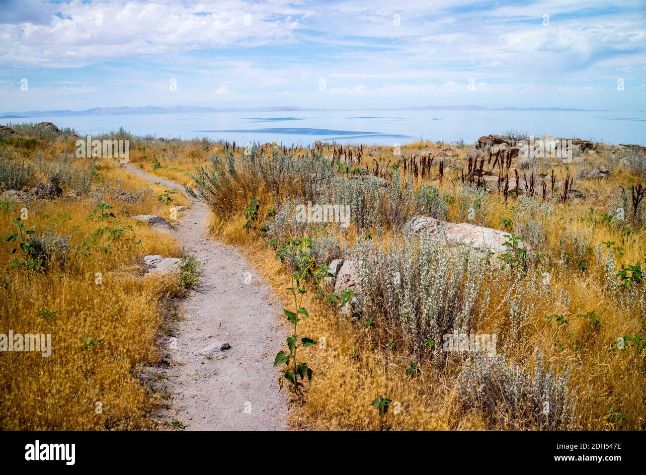 A gorgeous view of the landscape in Antelope Island State Park, Utah ...