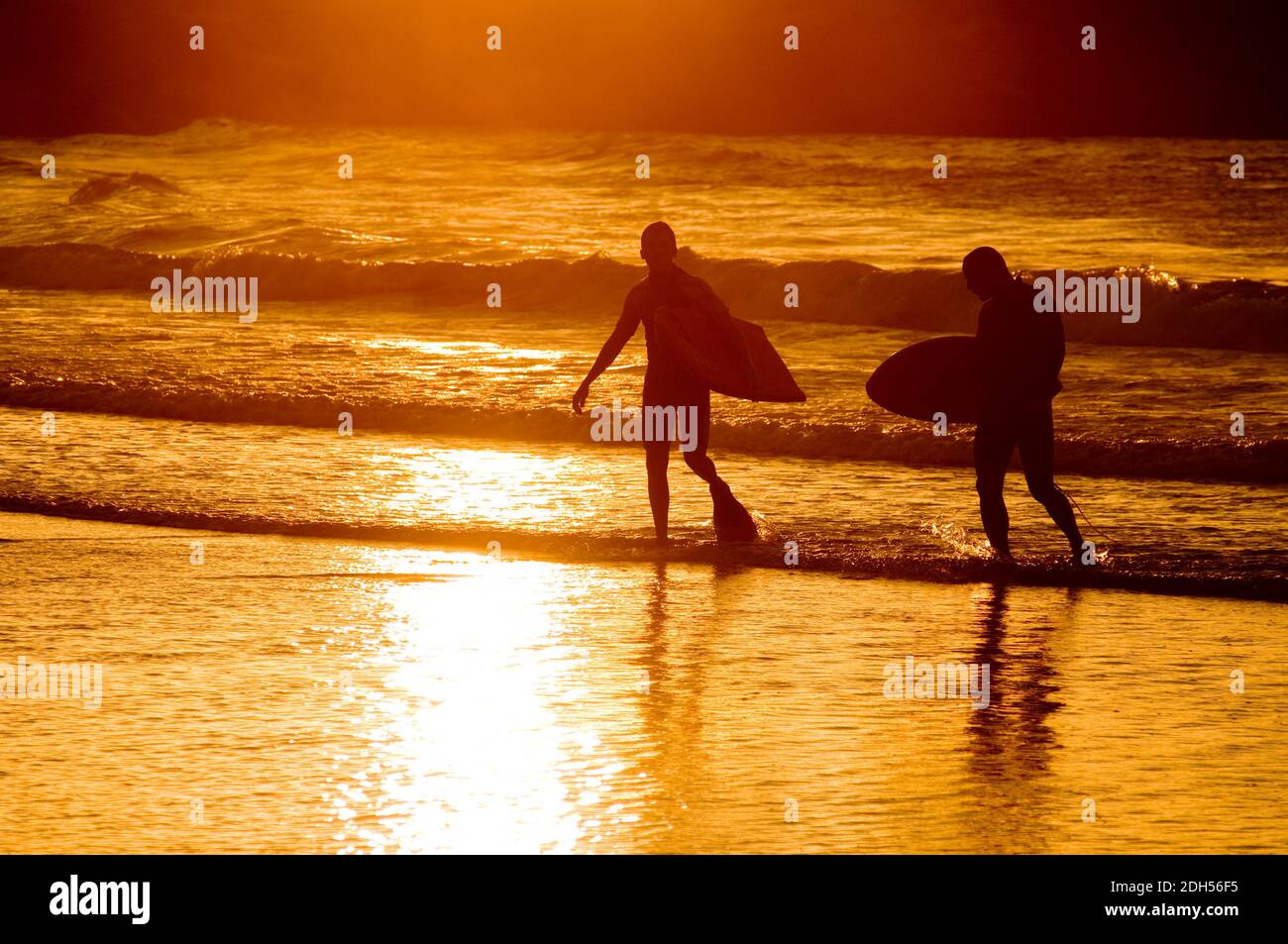 backlight scenes with yellow and orange sunset on the beach Stock Photo ...