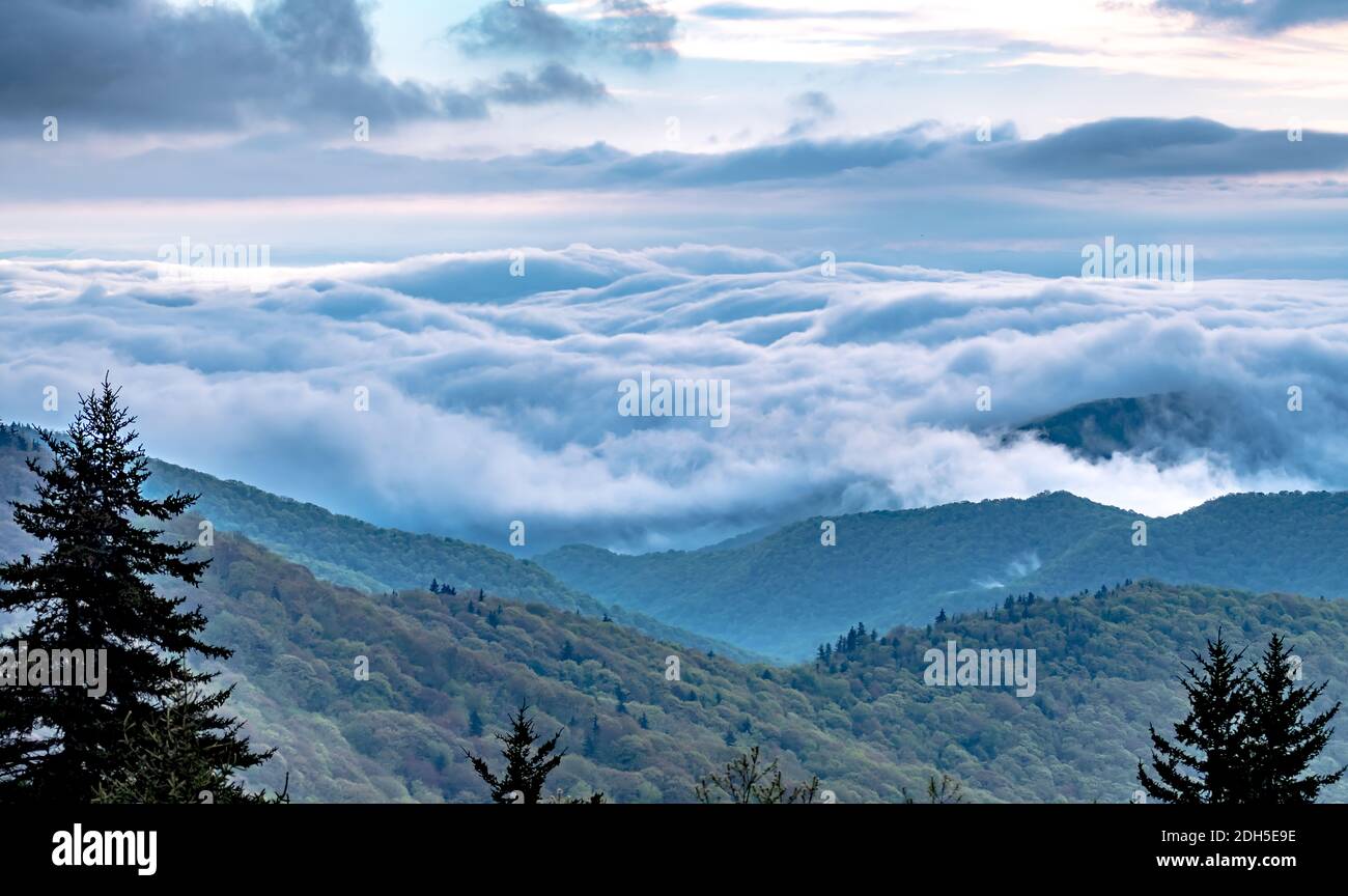 Spring time on blue ridge parkway mountains Stock Photo - Alamy
