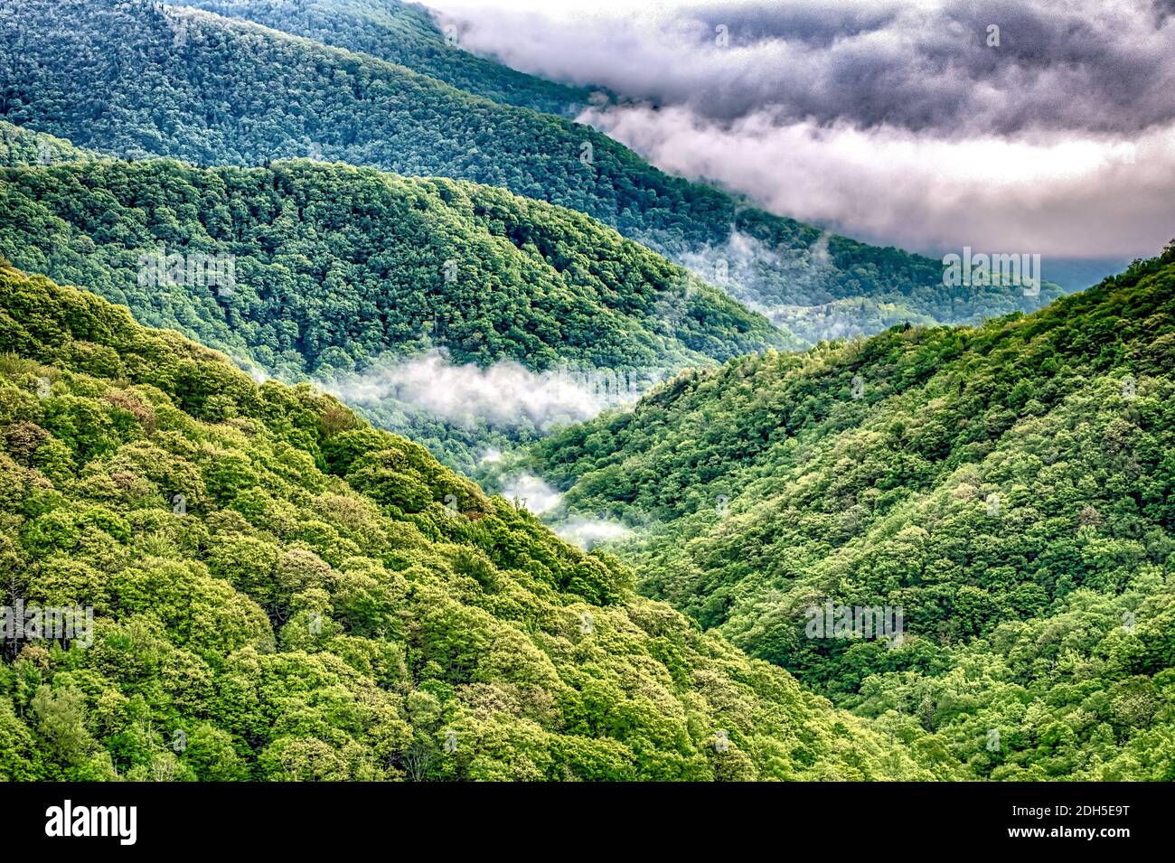 Foggy morning in blue ridge mountains picnic area Stock Photo - Alamy