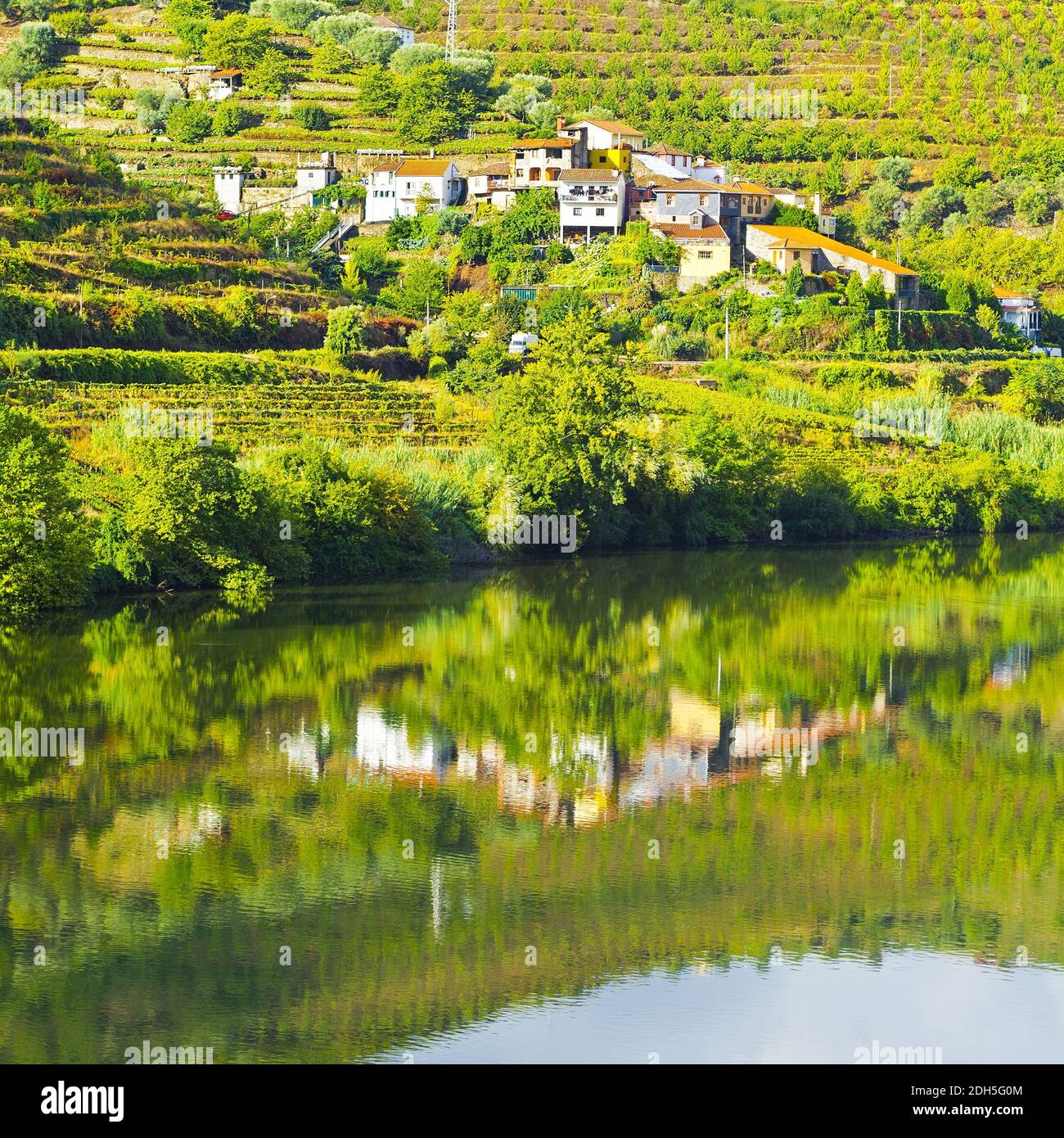 Douro farm hi-res stock photography and images - Alamy