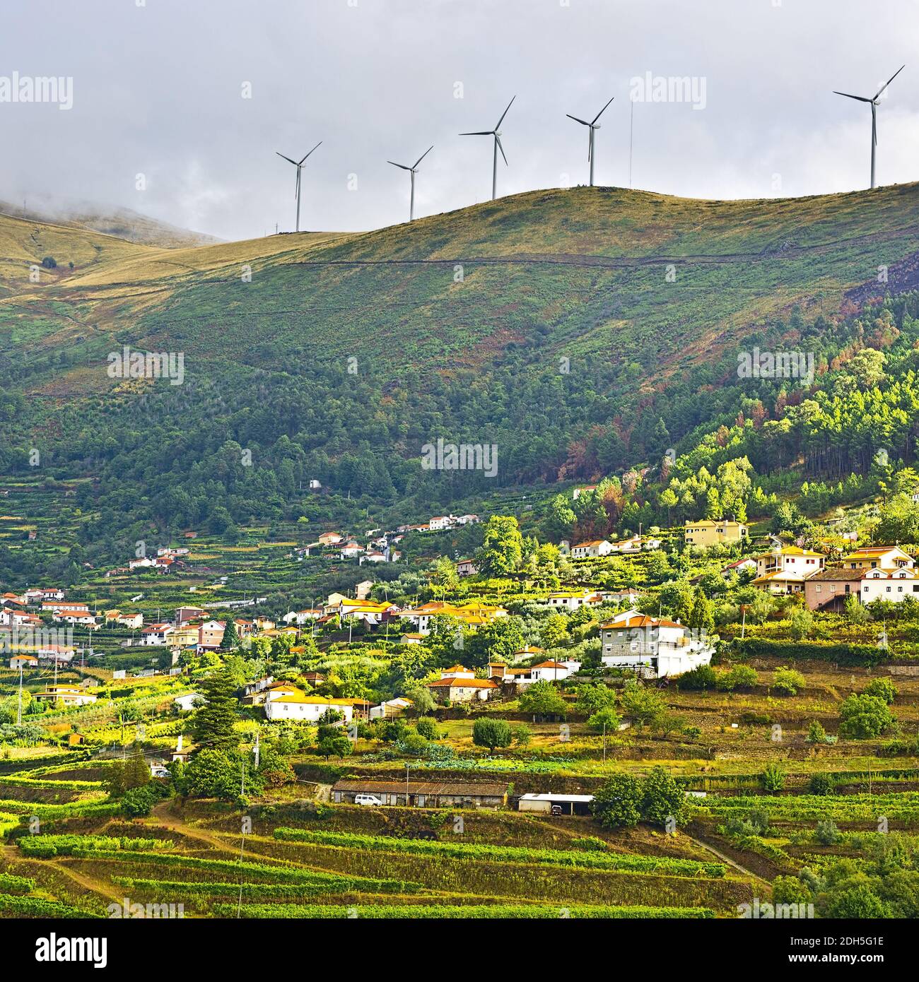 Wind Turbines over Vineyards Stock Photo - Alamy