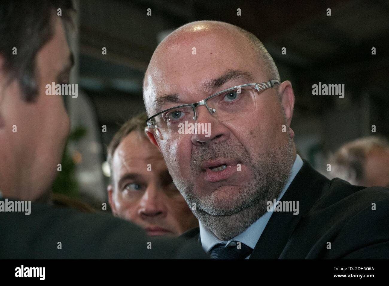 12 animales hi-res stock photography and images - Alamy