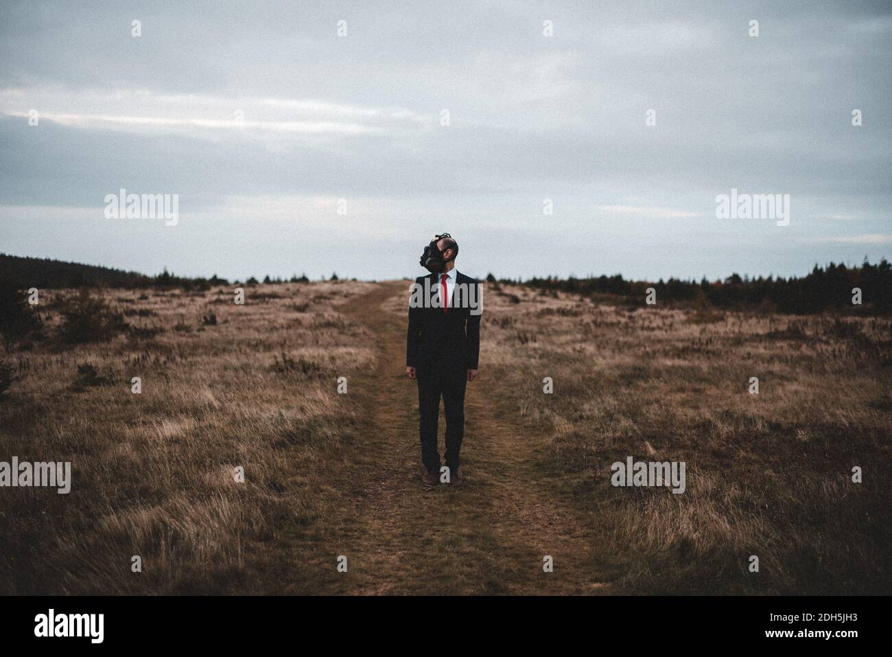 man wearing a business suit and gas mask in a dreary field Stock Photo ...