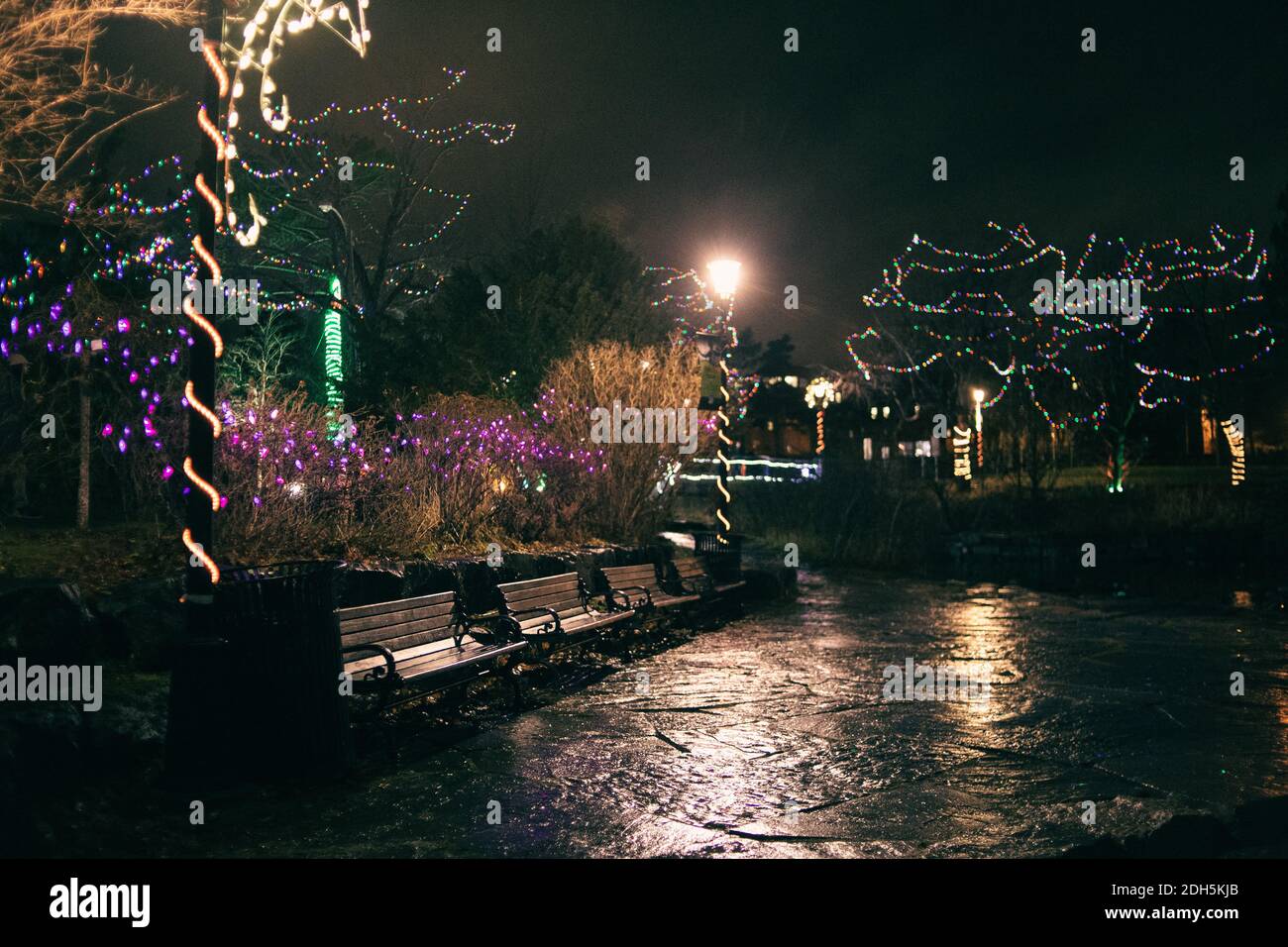 the bright lighhts of bowring park, newfoundland at night during the ...
