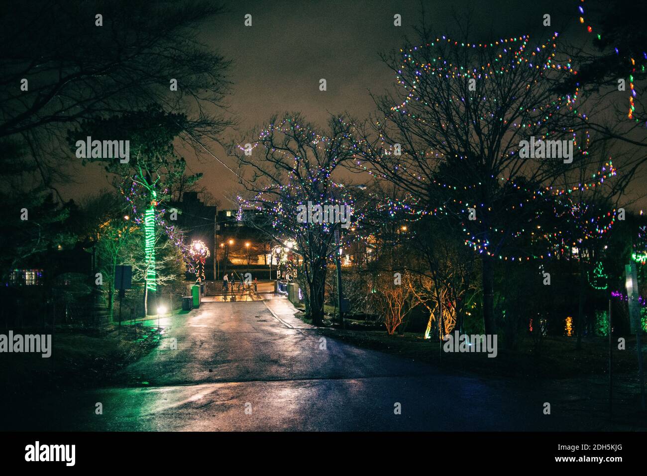 the bright lighhts of bowring park, newfoundland at night during the ...