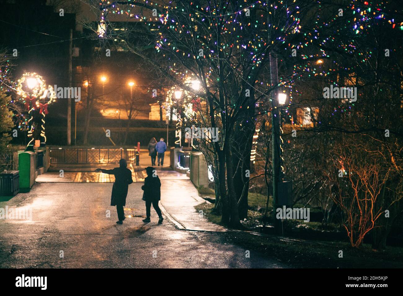 People Walking In Park At Night