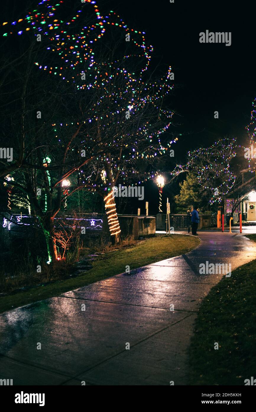 the bright lighhts of bowring park, newfoundland at night during the ...