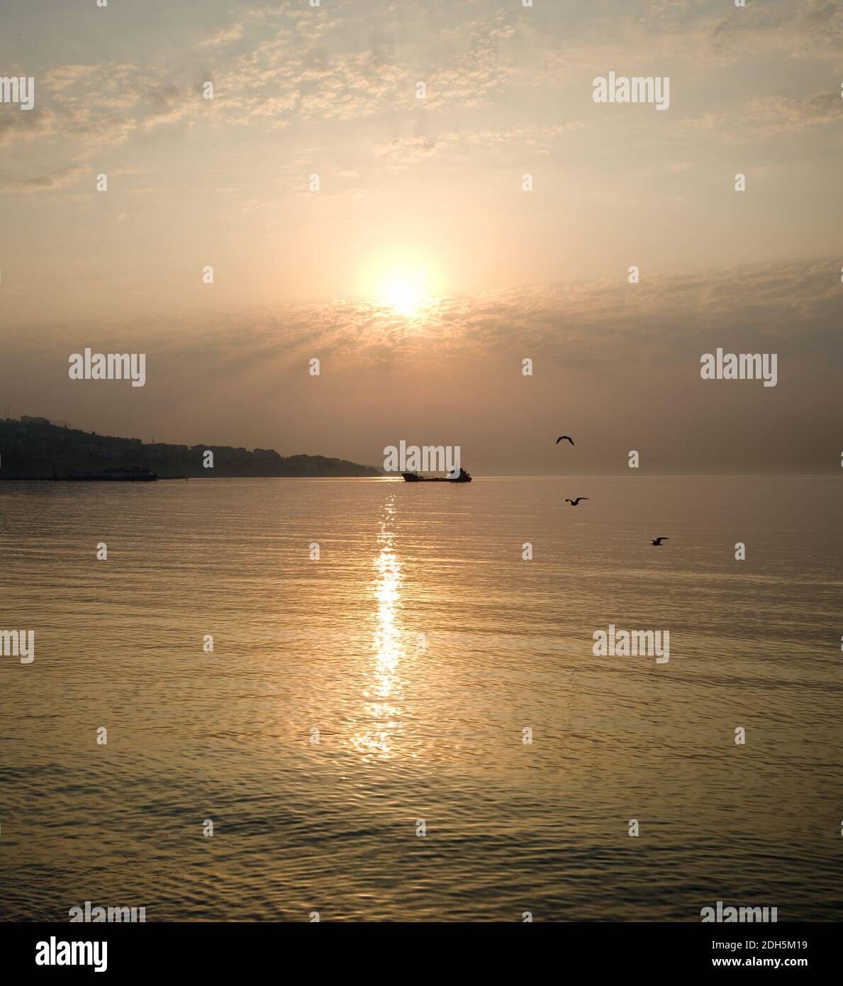 Seagulls over ray sunlight sea hi-res stock photography and images - Alamy